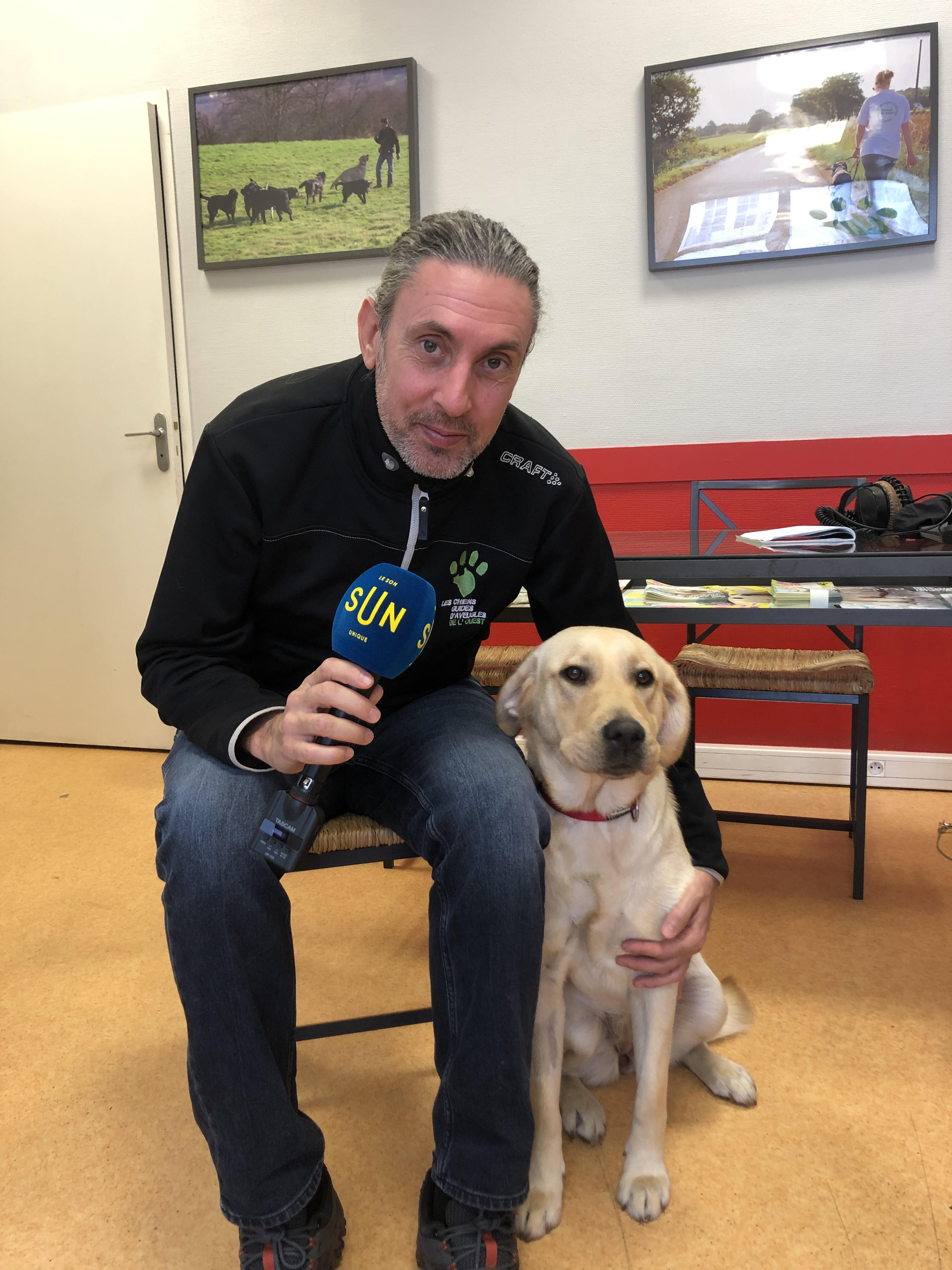 Chiens guides - SUN | Le Son Unique